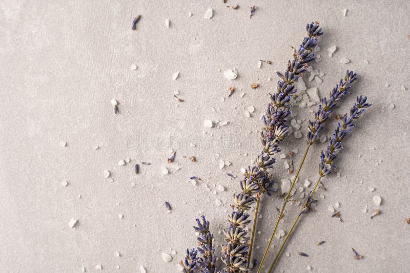 Lavender Salt for Cooking. Lavander Salt with Dried Lavender Flowers ...