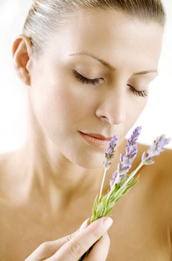 Lavender scent stock photo. Image of closeup, aroma, body - 4133178