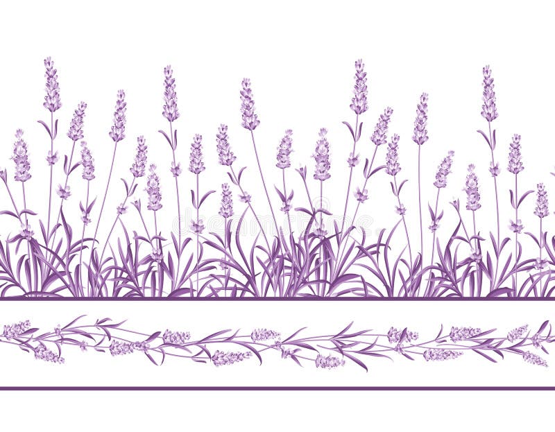 The Lavender Seamless Frame Line Stock Vector - Illustration of ...