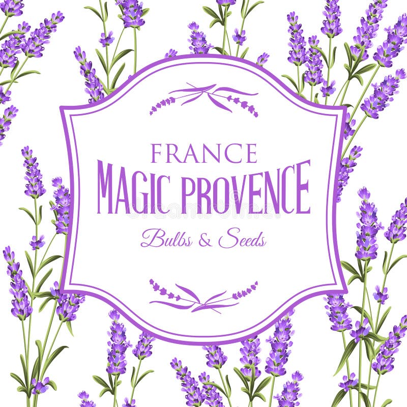 Lavender sign label stock vector. Illustration of bloom - 64720452
