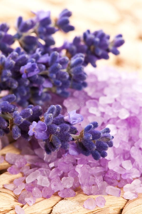 Lavender spa stock photo. Image of naturopathic, hygiene - 5613606