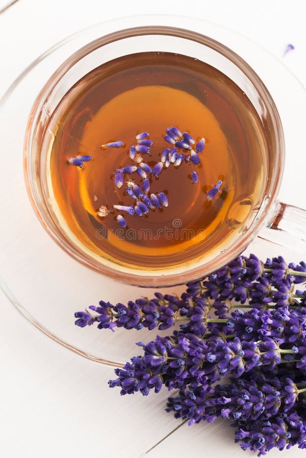 Lavender tea stock photo. Image of lavender, delicious - 56251680