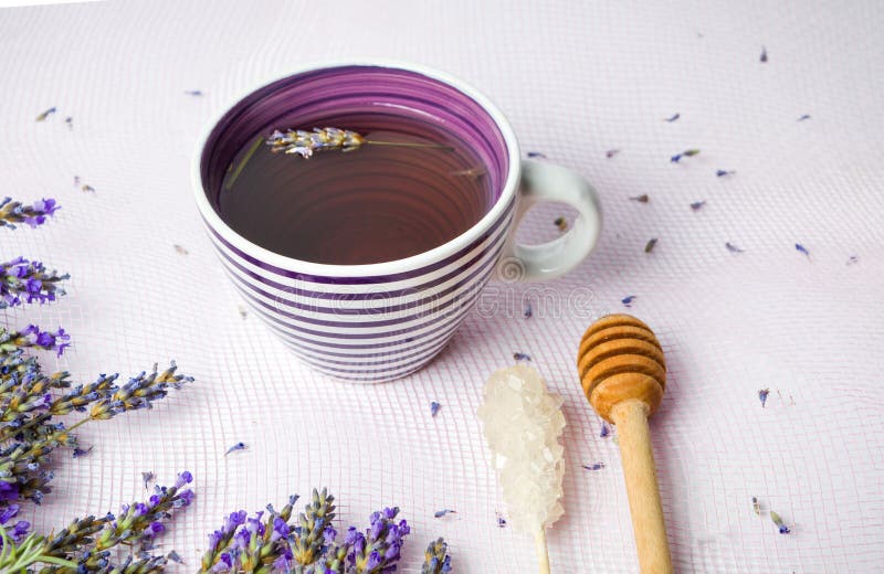 Lavender Tea with Fresh Flowers and Sugar Stick Stock Image - Image of ...
