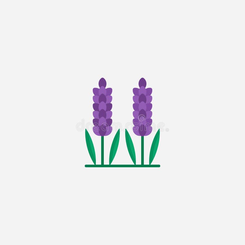 Lavender Vector Icon Sign Symbol Stock Vector - Illustration of french ...