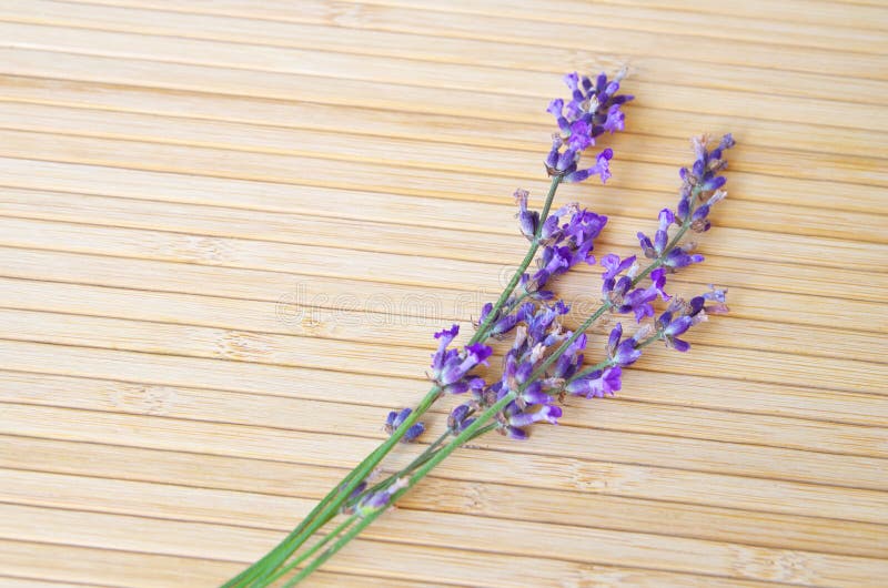 Lavender on wood stock image. Image of decoration, copy - 136023405