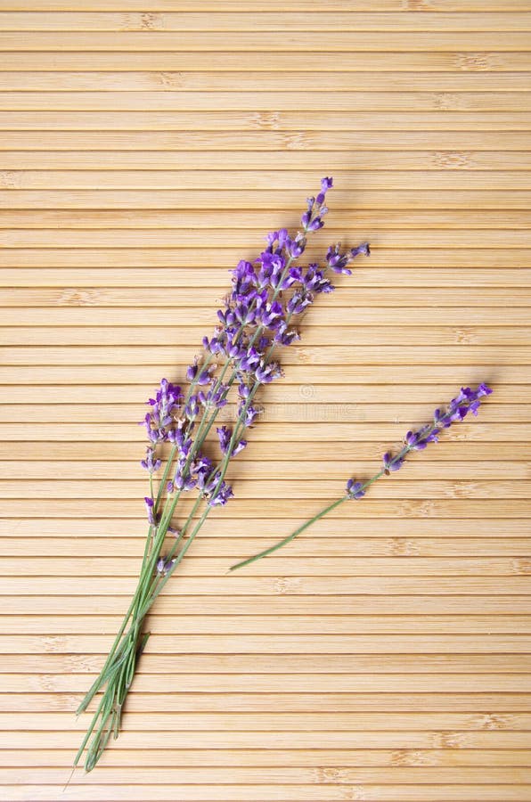 Lavender on wood stock image. Image of green, flower - 136023423