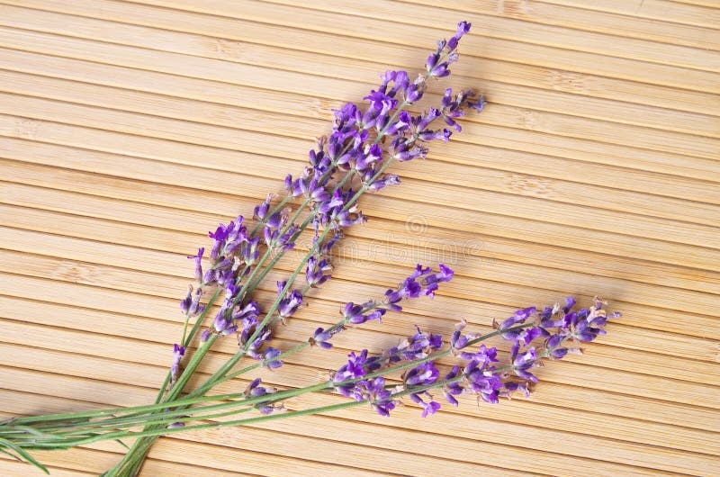Lavender on Wooden Texture. Stock Photo - Image of decorative, blossom ...
