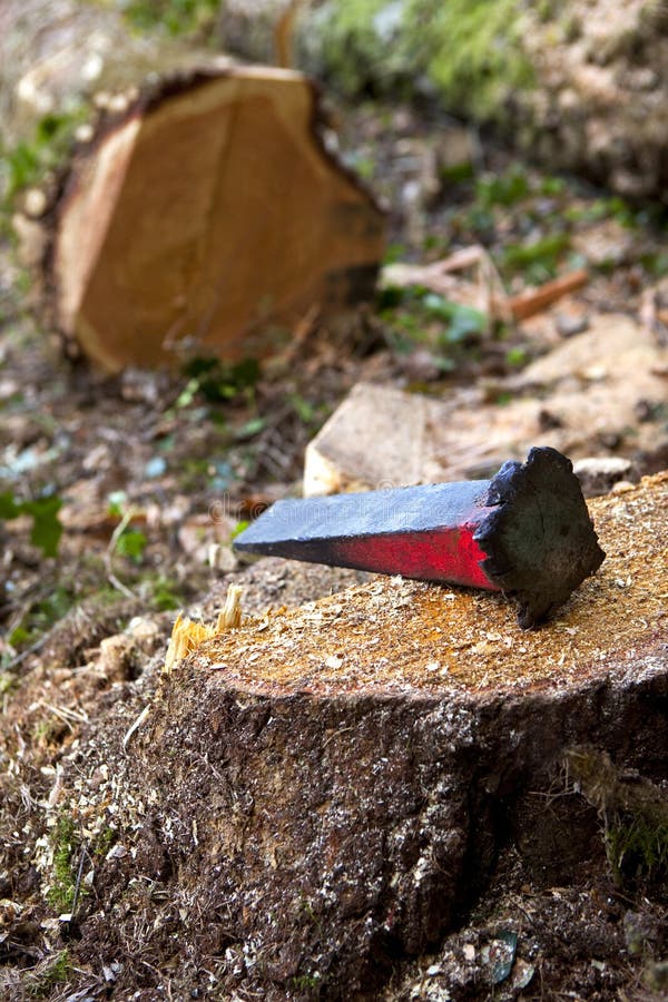 Lavoro del taglialegna immagine stock. Immagine di tronco - 49593207