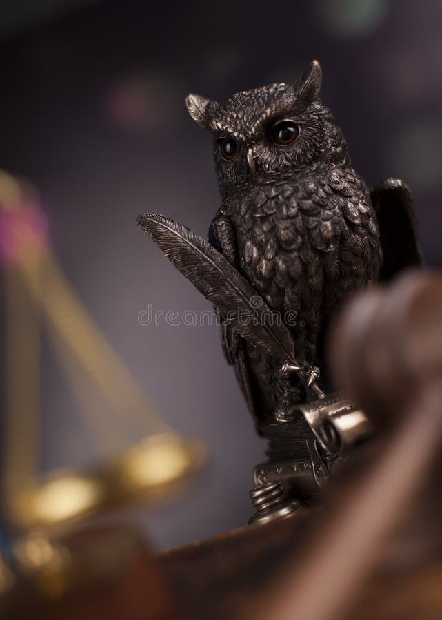 Law Concept, Owl in a Judge Gavel Concept Stock Image - Image of ...