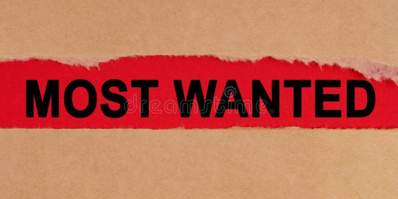 234 Most Wanted Background Stock Photos - Free & Royalty-Free Stock ...