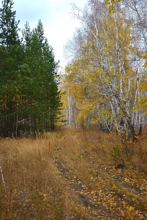 Law of nature stock photo. Image of balance, desolate - 85744480