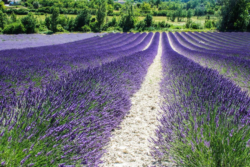 Simiane Los Angeles Rotonde, Francja Obraz Stock - Obraz złożonej z ...