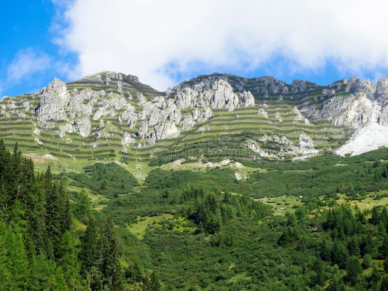 Lawin fences in the Alps stock photo. Image of nature - 101693068