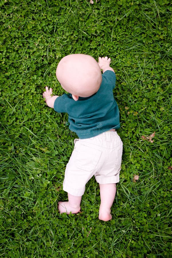 Lawn: Baby Exploring the Yard Stock Photo - Image of expressive ...