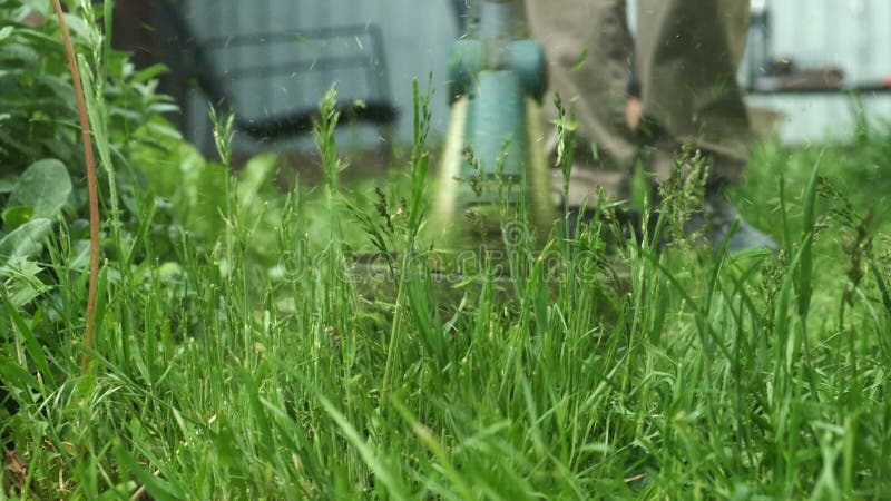 Gardener Using String Trimmer To Cut Thick Grass in Home Yard. Lawn ...