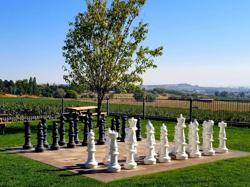 Lawn Chess Game stock image. Image of lawn, chess, game - 259468609