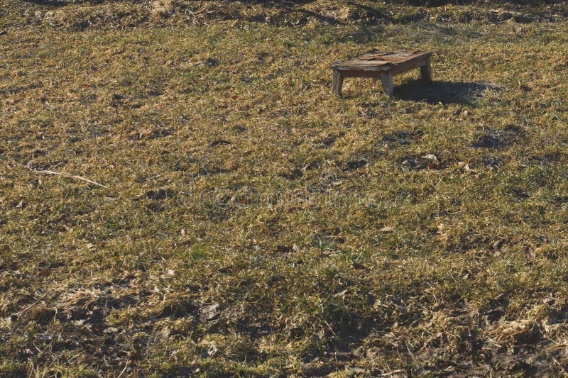 Lawn in the Courtyard. Nature Background with Grass Stock Photo - Image ...