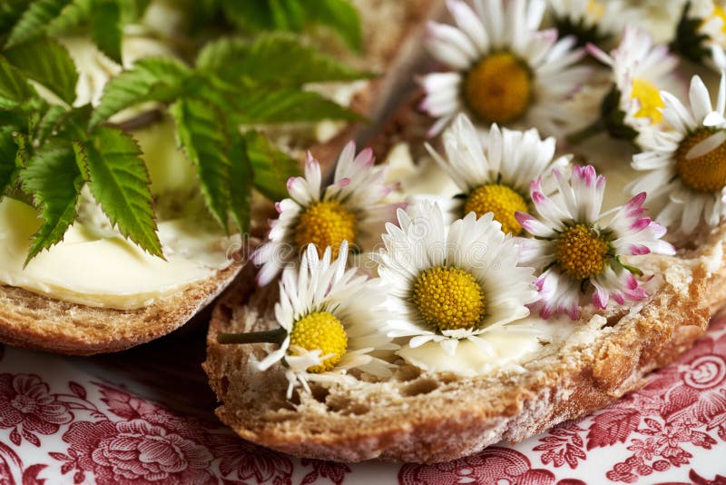 Lawn Daisy and Ground Elder on Slices of Bread, Closeup Stock Image ...