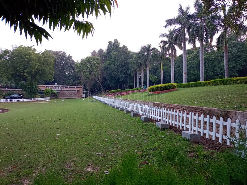 Lawn in Delhi zoo stock photo. Image of agriculture - 240463876
