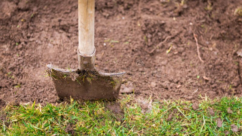 Lawn digging stock photo. Image of garden, maintenance - 70038082