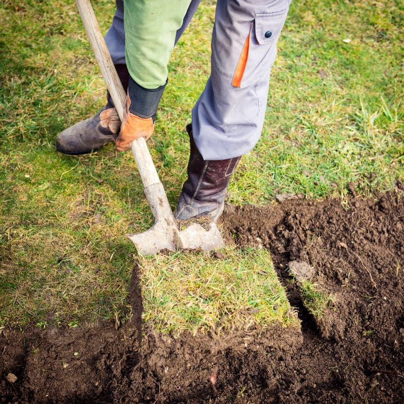 Lawn digging stock image. Image of preparation, green - 70037687