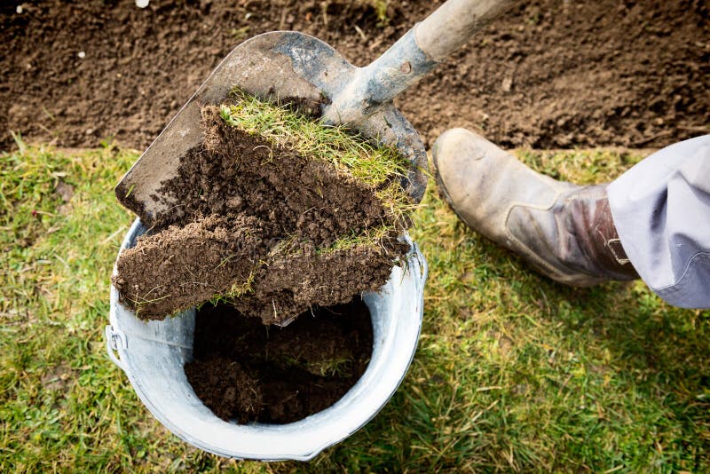 Lawn digging stock photo. Image of green, turf, person - 70037804