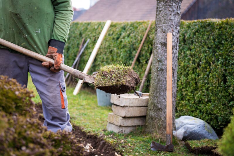Lawn digging stock photo. Image of plot, lawn, spade - 70038588