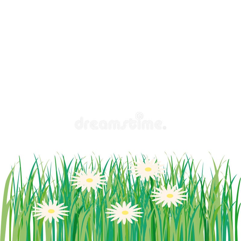Lawn, Flower, Daisy, Spring, Summer Stock Illustration - Illustration ...
