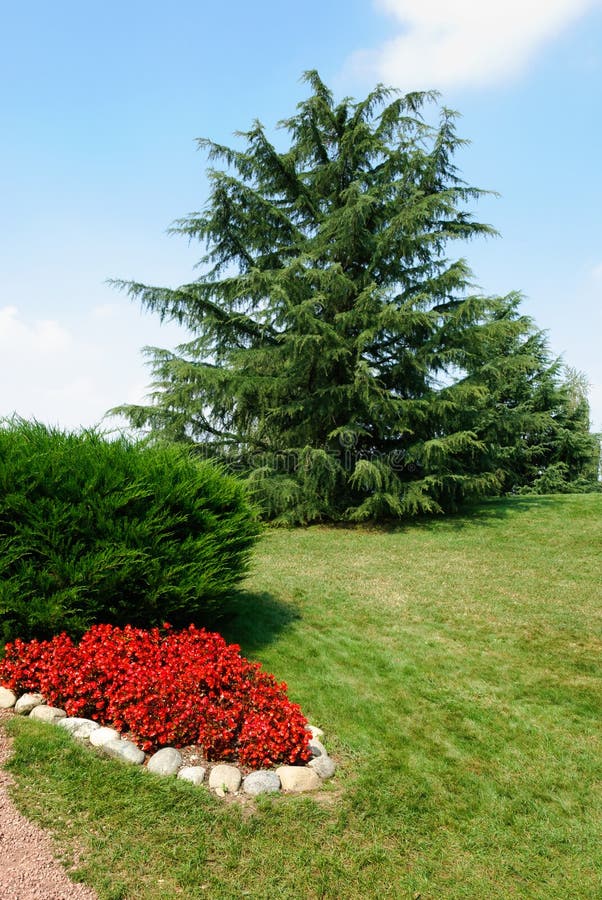 Lawn and flowers stock photo. Image of nature, green - 24543062