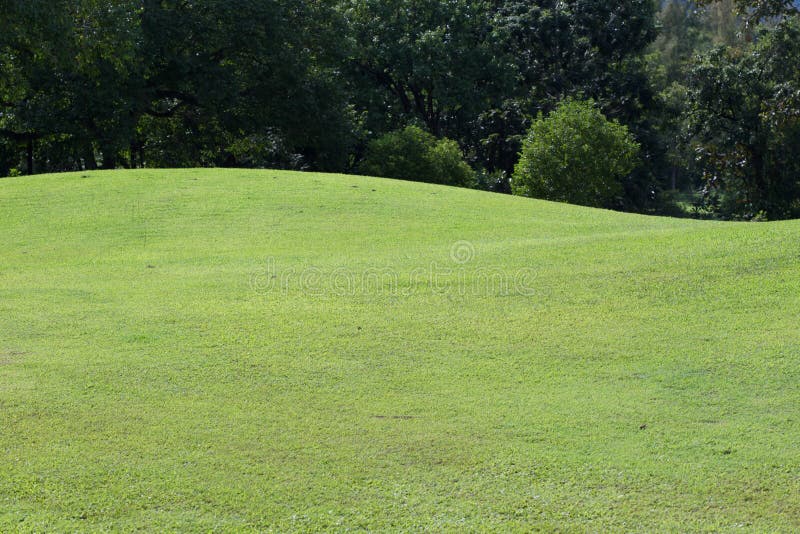 Lawn of Golf Course, Green Grass Field Stock Image - Image of grassland ...