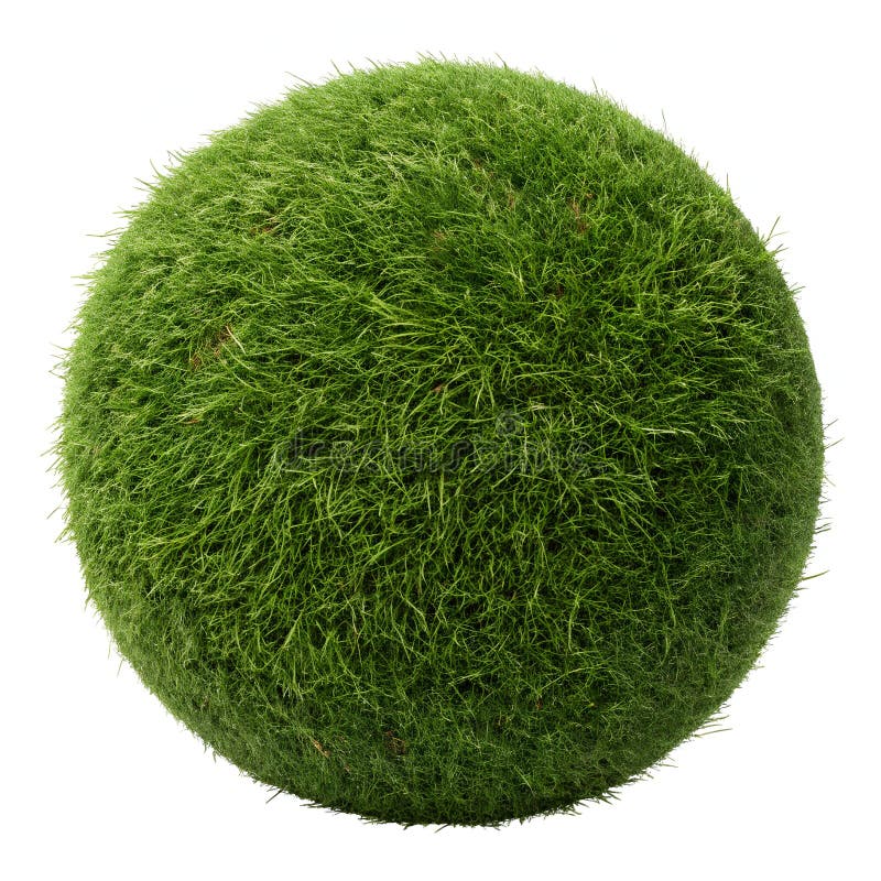 Lawn Grass Sphere Isolated on White Background Stock Illustration ...