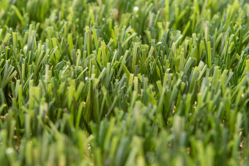 Lawn grass with sunlight stock photo. Image of play - 130043296