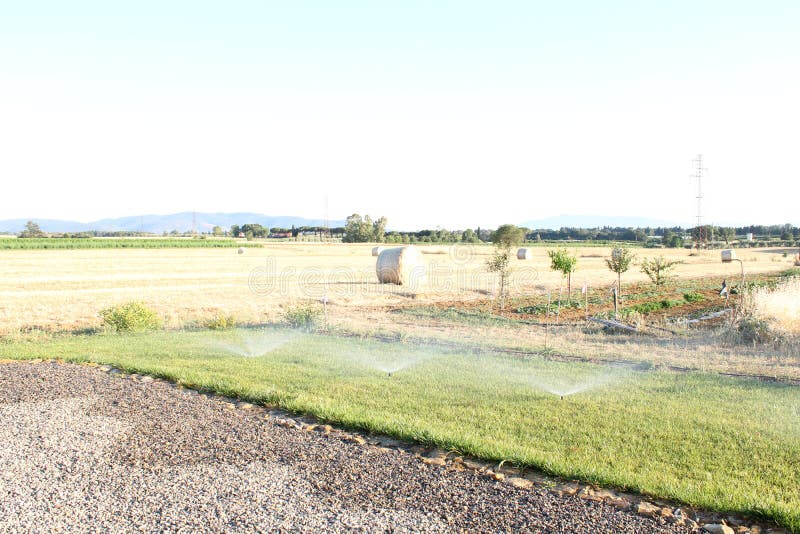 Lawn Irrigation System. Spraying Water on the Lawn in Very Hot Weather ...