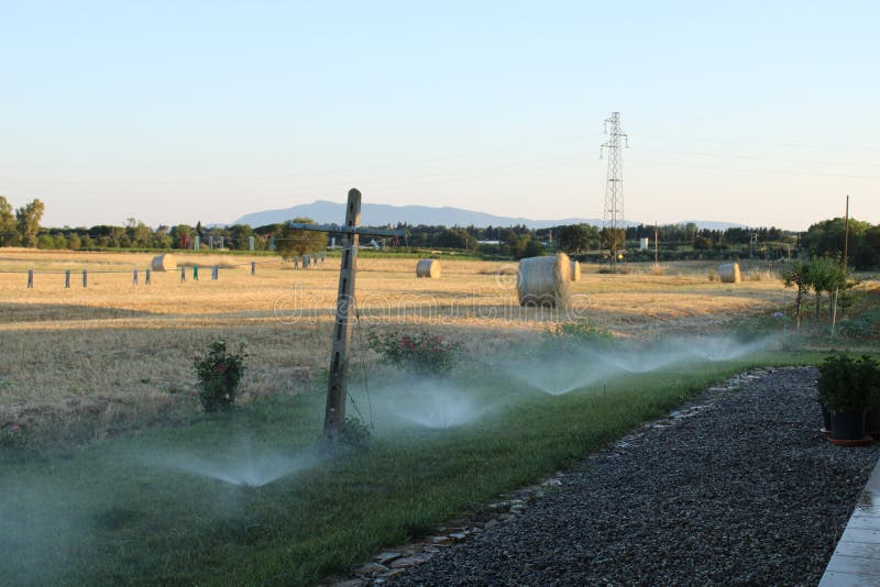 Lawn Irrigation System. Spraying Water on the Lawn in Very Hot Weather ...