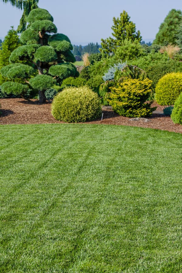 Lawn and landscaped garden stock image. Image of mulched - 47448081
