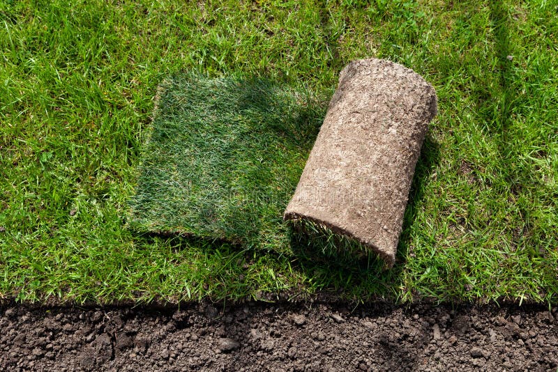 Lawn, Laying of Turf Rolls or Roll of Lawn Greens. a Quick Way To ...