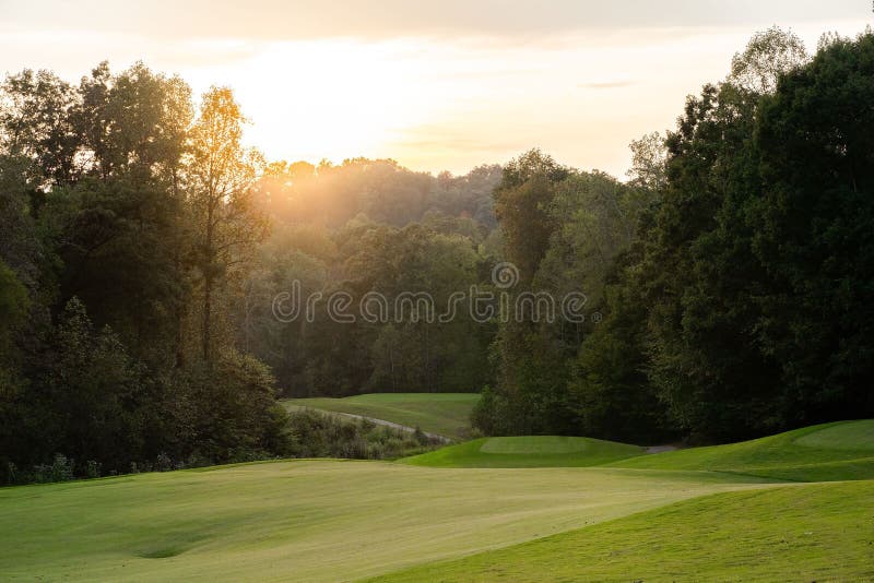 A Lawn with Lush Trees in a Golf Course with the Sun Peering through ...