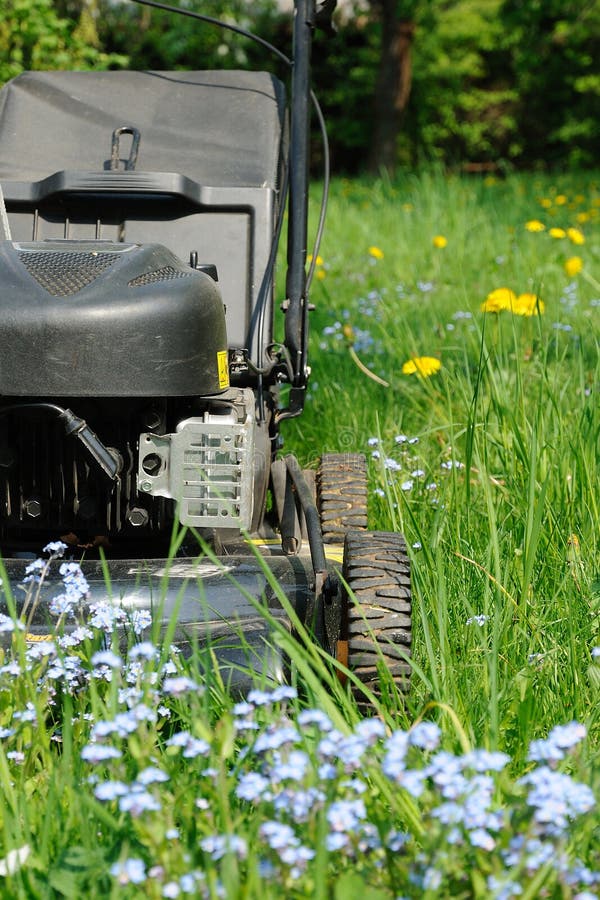 18,313 Lawn Mower Stock Photos - Free & Royalty-Free Stock Photos from ...