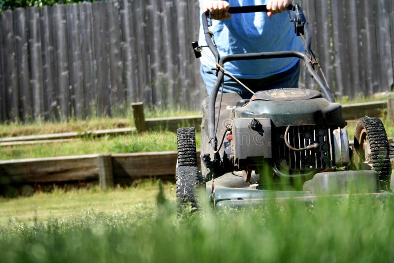 Spring Grass stock image. Image of spring, life, green - 514013