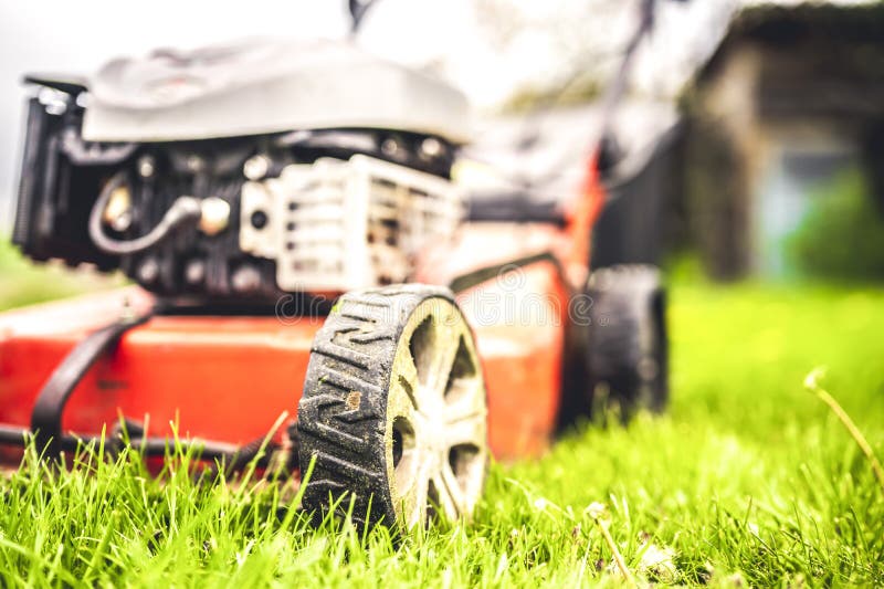 Lawn Mower Cut Grass. Garden Work. Electric Rotary Lawn Mower Machine ...