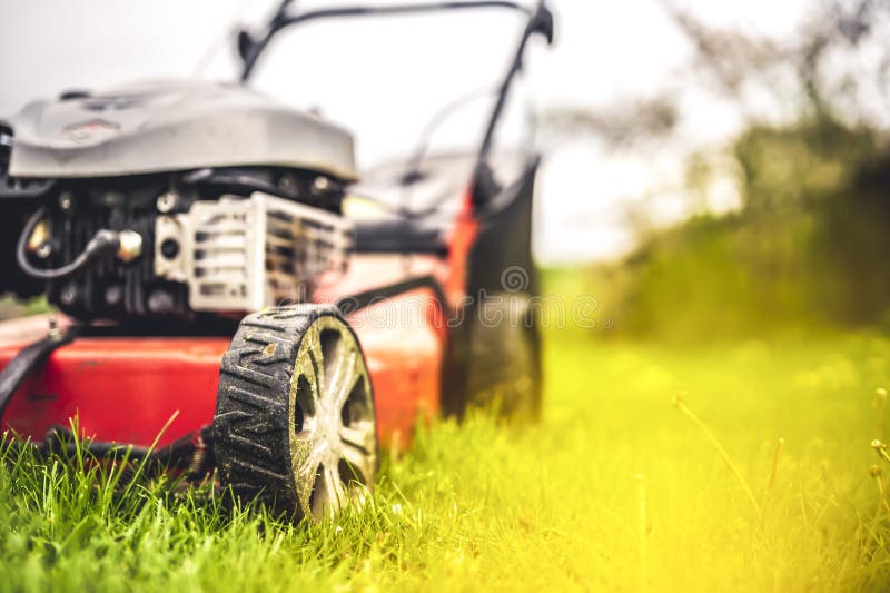 Lawn Mower Cut Grass. Garden Work. Electric Rotary Lawn Mower Machine ...