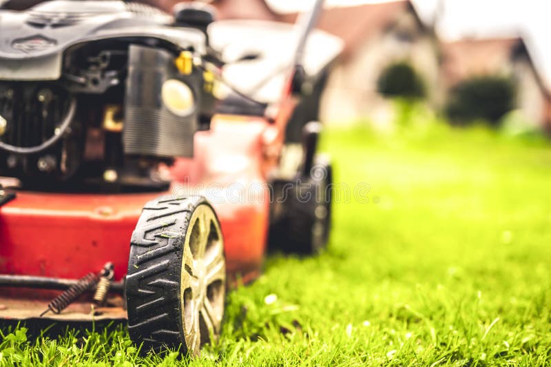 Lawn Mower Cut Grass. Garden Work. Electric Rotary Lawn Mower Machine ...