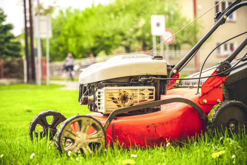Lawn Mower Cut Grass. Garden Work. Electric Rotary Lawn Mower Machine ...