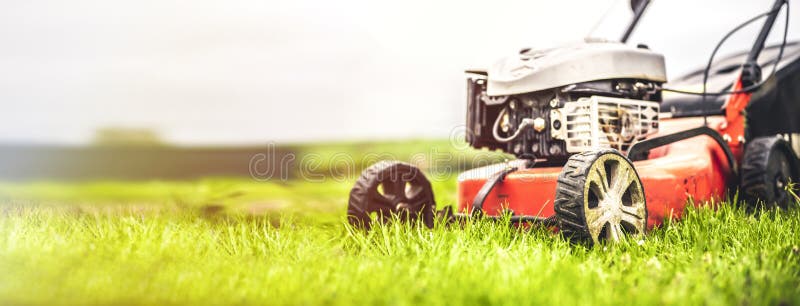 Lawn Mower Cut Grass. Garden Work. Electric Rotary Lawn Mower Machine ...