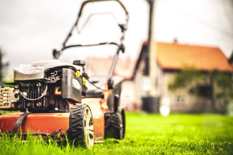 Lawn Mower Cut Grass. Garden Work. Electric Rotary Lawn Mower Machine ...