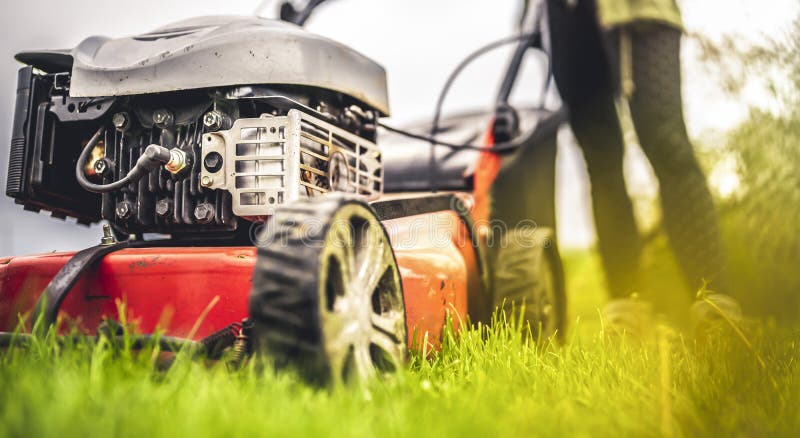 Lawn Mower Cut Grass. Garden Work. Electric Rotary Lawn Mower Machine ...