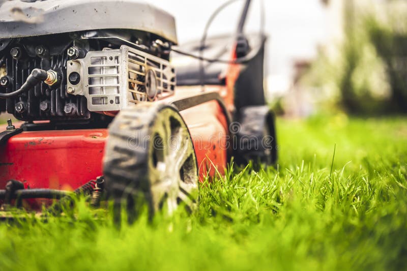 Lawn Mower Cut Grass. Garden Work. Electric Rotary Lawn Mower Machine ...