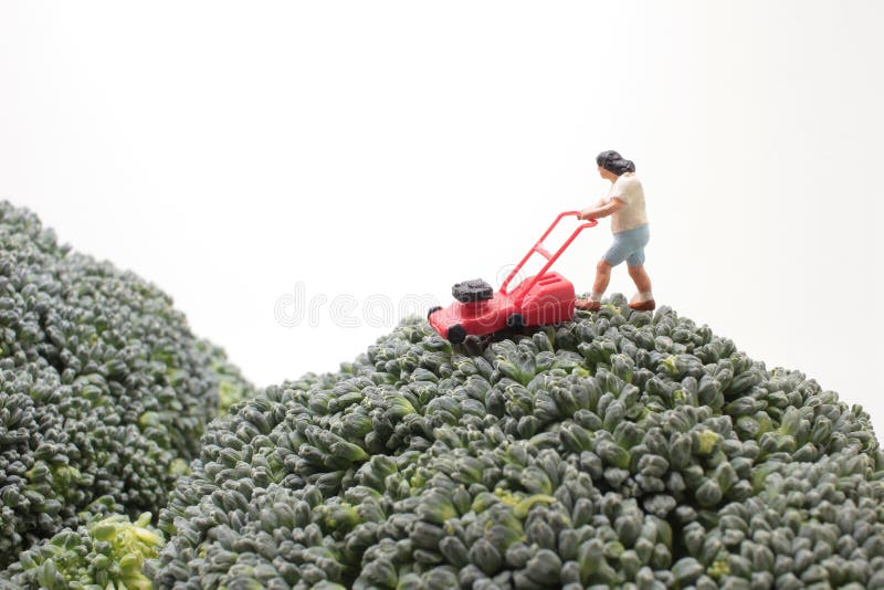 A Lawn Mower Cutting a Green Broccoli Stock Image - Image of cutting ...