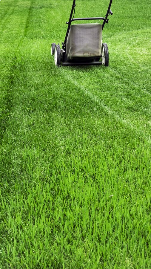 Lawn Mower Cutting Green Lawn Stock Image - Image of land, field: 244619871
