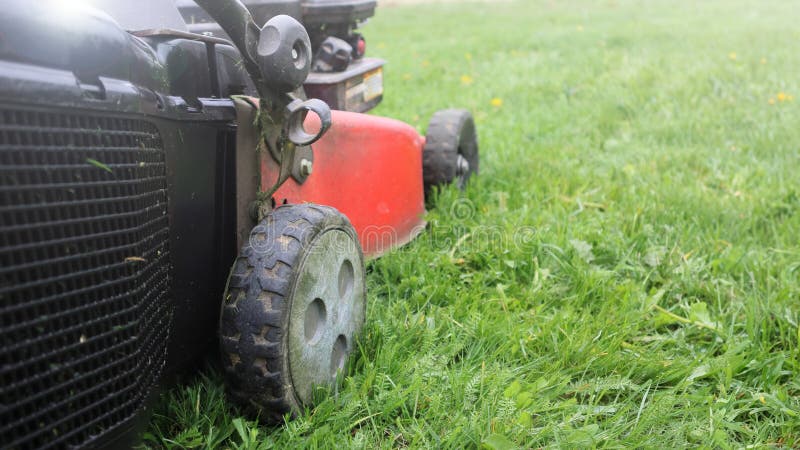 Lawn Mower Cutting Green Grass Low Angle Shot with Selective Focus ...